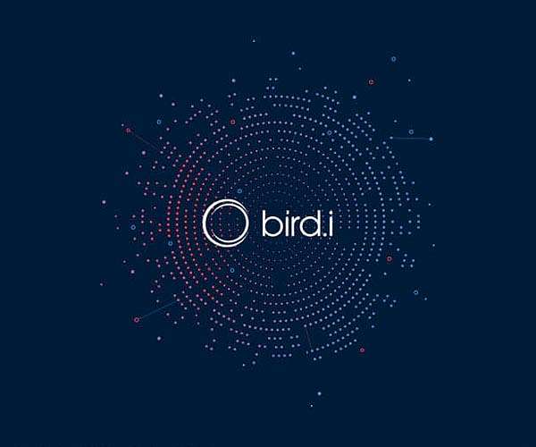 Geospatial Intelligence Company Bird.I Acquired By Hanley Wood And ...