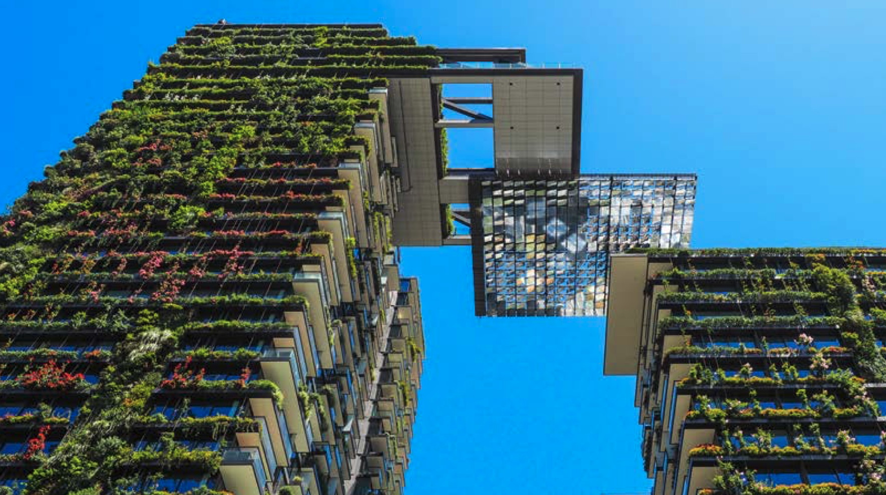 “Green Space” on Earth – a New Deal - SpaceWatch.Global