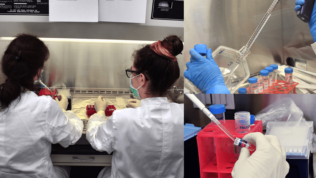 University of Zurich and Airbus to advance production of human tissue ...