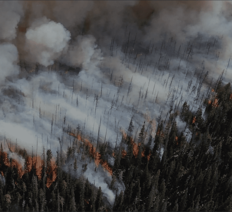 Ororatech accelerates deployment of its thermal satellite constellation ...